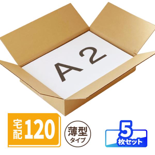 ●底面が大きめで宅配120サイズのダンボール箱底面はA2用紙に合わせた大きさで、一般的な写真集が平置きで4冊入るサイズになっております。3辺合計の寸法は120cmのため、宅配120サイズで荷物を配送することができます。日用品などの仕送り・お...