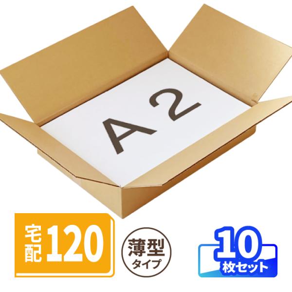 ●底面が大きめで宅配120サイズのダンボール箱底面はA2用紙に合わせた大きさで、一般的な写真集が平置きで4冊入るサイズになっております。3辺合計の寸法は120cmのため、宅配120サイズで荷物を配送することができます。日用品などの仕送り・お...