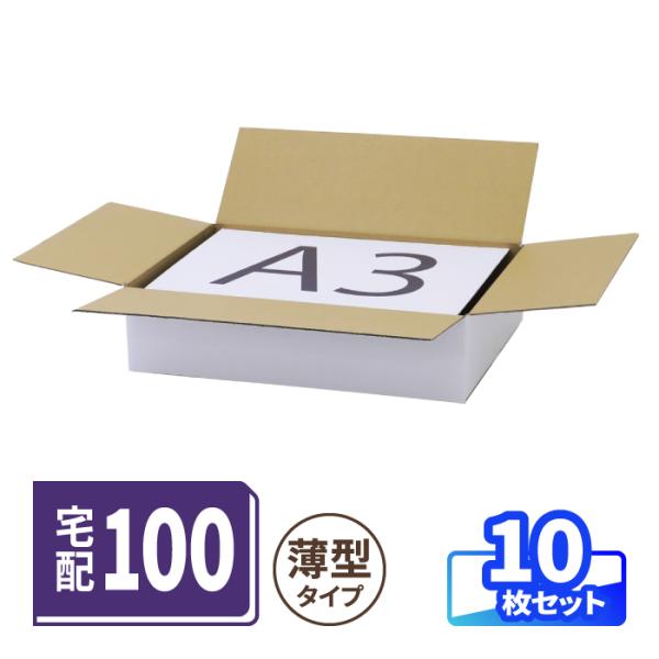 商品ID：0693商品名：【宅配100サイズ(3辺90cm)】白ダンボール箱 浅型タイプ A3サイズ対応内寸法(mm)：450×320×1003辺外寸合計：90 cm紙質（強度）：白C5/C5フルート：B/F　厚さ：3 mm重量：340 g...