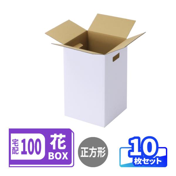 お花や植物のギフト発送用ダンボール箱●鉢植えの花や植物を100サイズで送れる高さ43cm程度までの花・観葉植物を発送できるフラワーギフトボックス。宅配100サイズで発送可能です。●持ち手穴付きで受け取りもラクラク箱の左右に持ち手穴が付いてお...