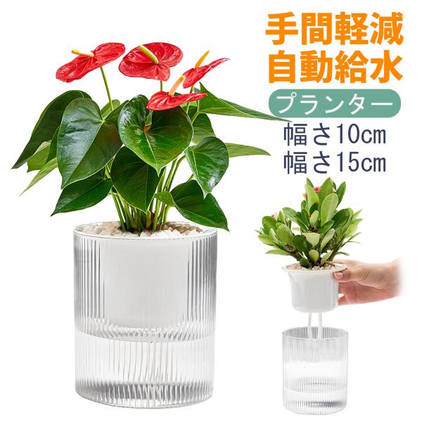 商品名：自動吸水　植木鉢　2個セット製品サイズ：Size M：3号鉢　10×12cmSize L：5号鉢　15×17.5cmカラー：白、クリアセット内容：植木鉢、綿ロープ（1個あたり）材質：鉢：プラスチック、ロープ：綿