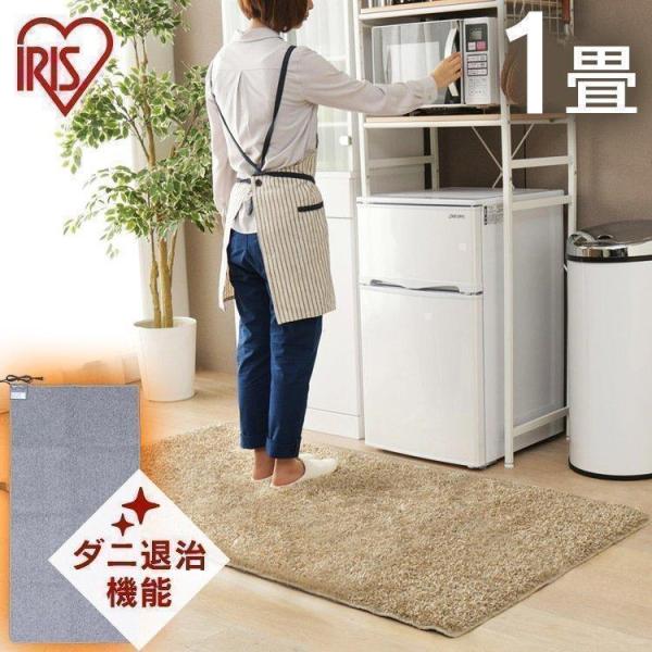 ■電源AC 100V、50/60Hz■定格消費電力200W■表面材質ポリエステル100％■商品サイズ（cm）幅約176×奥行約88■電源コード長さ約1.5m■温度調整目盛中・強■消費電力量（1時間当たり）中：約90.0Wh強：約134.7W...