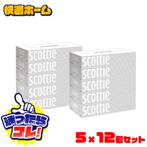（検索用：ティッシュ ティッシュペーパー ボックスティッシュ 箱ティッシュ まとめ買い 4901750417352）