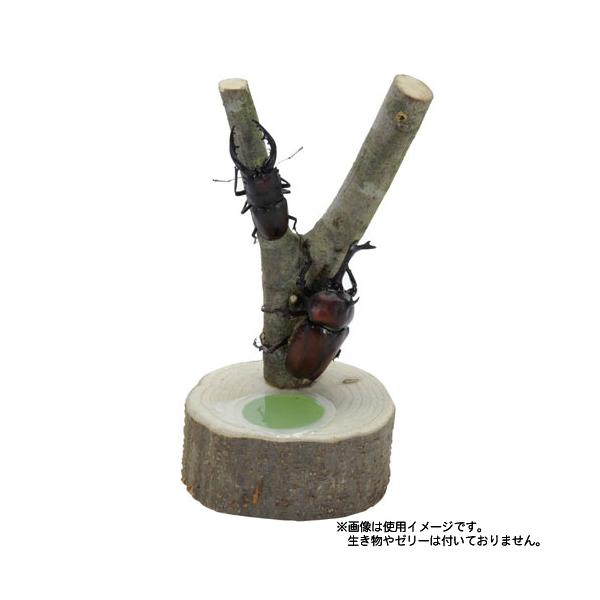 ■送料■  1つの商品につき送料450円になります。※送料を含めた、値段をこちらからメールでご連絡します。※北海道・沖縄・離島にお住まいの方は別途料金が必要です。■商品情報■のぼり木とエサ皿がドッキング！昆虫ケースのディスプレイにも最適です...