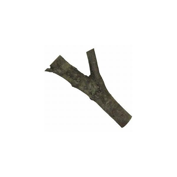 ■送料■  1つの商品につき送料450円になります。※送料を含めた、値段をこちらからメールでご連絡します。※北海道・沖縄・離島にお住まいの方は別途料金が必要です。■商品情報■カブトムシやクワガタムシの飼育用、天然枝木！登ったり掴まったり、転...