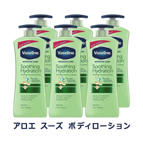 【ブランド】ヴァセリン【商品カテゴリ】スキンケア   ボディーローション・ミルク・トナー  【分類】海外正規品（並行輸入品）【原産国】アメリカなど【商品区分】化粧品・フレグランス【商品説明】【600ml×6個セット】腕・足にうるおい。乾燥対...