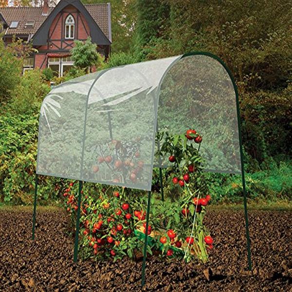 商品名: Gardman USA 7623 Tomato Greenhouse Gardman 7623 Tomato Greenhouse, 78.75" Long x 48" Wide x 78.75" Highブランド: Gardma...