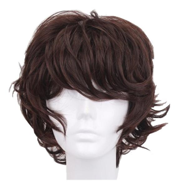 商品名: 13 Inch Dark Brown Short Curly Anime Cosplay Wigs with Bang for Men Costume Halloween Party Alibuy 13 Inch Dark Bro...