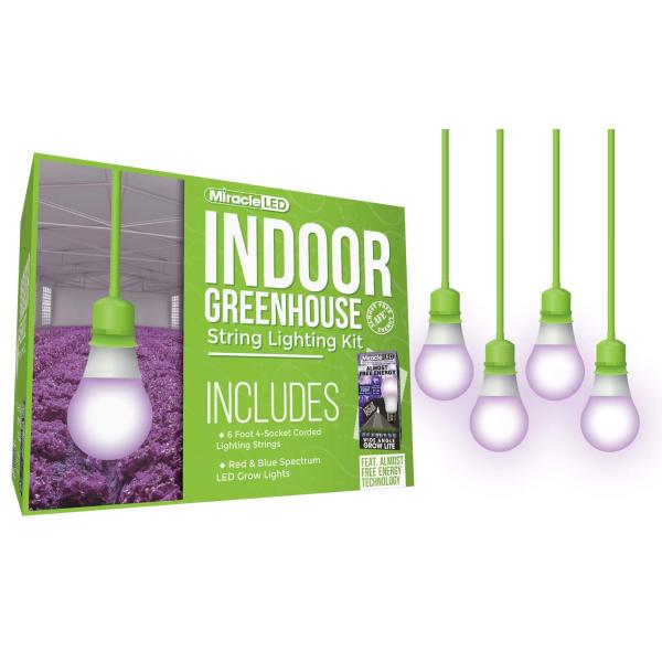 商品名: Miracle LED シングルソケット 6フィート コード付き屋内温室キット 赤と青のスペクトル付き ほぼ自由なエネルギー増強ライト 150W交換用 (4個パック) Miracle LED Single-Socket 6ft C...