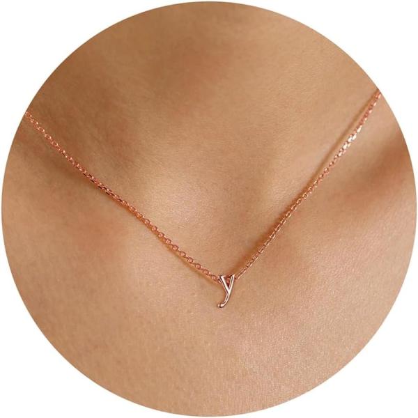 商品名彼女へのバレンタインデーギフト 14Kリアルゴールドメッキ 小さなイニシャルネックレス パーソナライズネックレス ゴールドイニシャルネックレス レディース ガールズ ジュエリー 彼女 妻 ガールフレンドへのバレンタインデーギフト, 金...