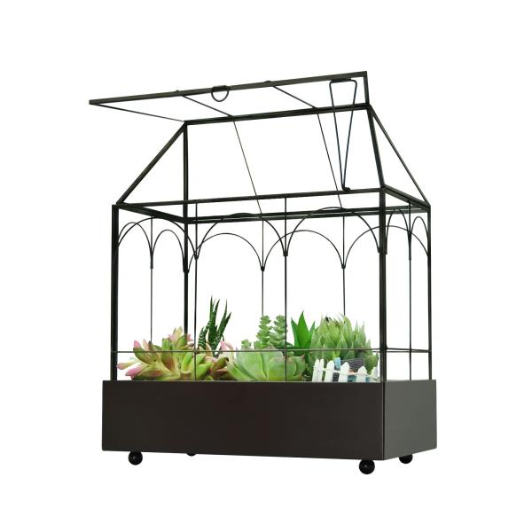 商品名: YIMORENCE V - Terrario grande para plantas de vidrio alto - Kit de terrario suculento con borde y bandeja, 9.5 x 5....