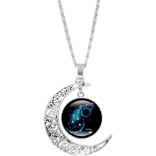 商品名12星座ネックレス レディース 華奢な三日月半12星座 月 星座 占星術 ホロスコープ チャーム チェーン ペンダント ネックレス ジュエリー プレゼント (みずがめ座)Cnebo Constellation Moon Necklac...