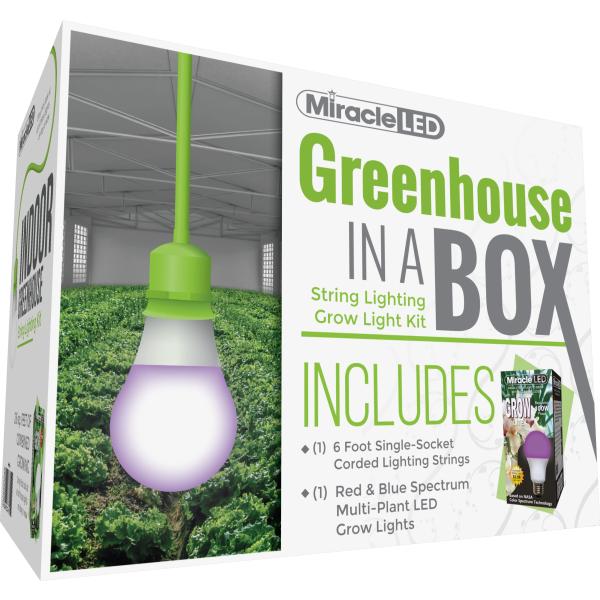 商品名:  Miracle LED Absolute Daylight Red &amp; Blue Spectrum 100W Replacement Greenhouse in a Box Single-Socket 6 Ft Cord...