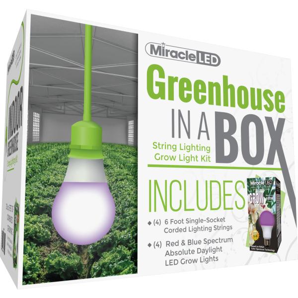 商品名:  Miracle LED Absolute Daylight Red &amp; Blue Spectrum 100W Replacement Greenhouse in a Box Single-Socket 6 Ft Cord...