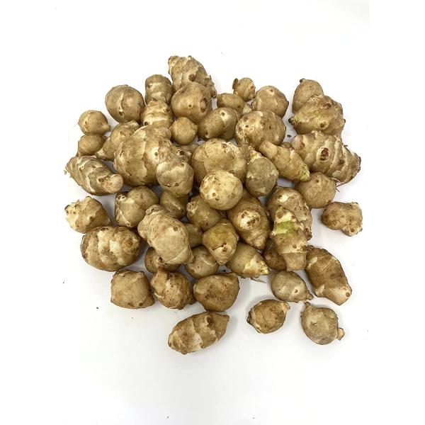 商品名:  Sunchokes by Greenhouse PCA | 6 Live Jerusalem Artichoke Tubers | Fresh Sunchoke Bulbs for Eating or Plantingブランド:...