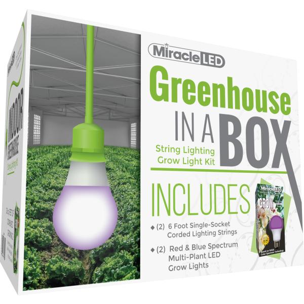 商品名:  Miracle LED Absolute Daylight Red &amp; Blue Spectrum 100W Replacement Greenhouse in a Box Single-Socket 6 Ft Cord...