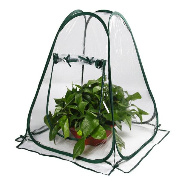 商品名:  AXUYU Pop Up Greenhouse Tent, Portable Mini Greenhouse for Plant,Outdoors Indoor Seedlings Plant Hot House, Flower...