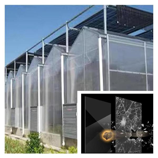 商品名:  Clear Plastic Sheet, Lightweight Daylighting Sheet Greenhouse Panels for Home Decor Water Proof Insulation High Te...