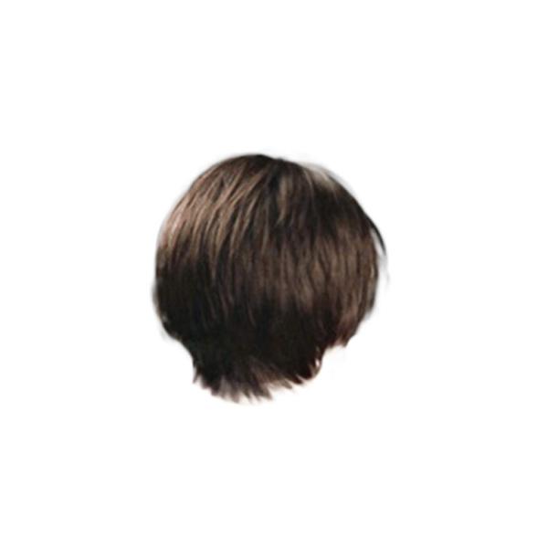 商品名:  Aubatece Hair Buns Festival Wig Men Short Hair Perfect Cosplay For Carnivals Fashion Party wig Expresshair1 (Brown...