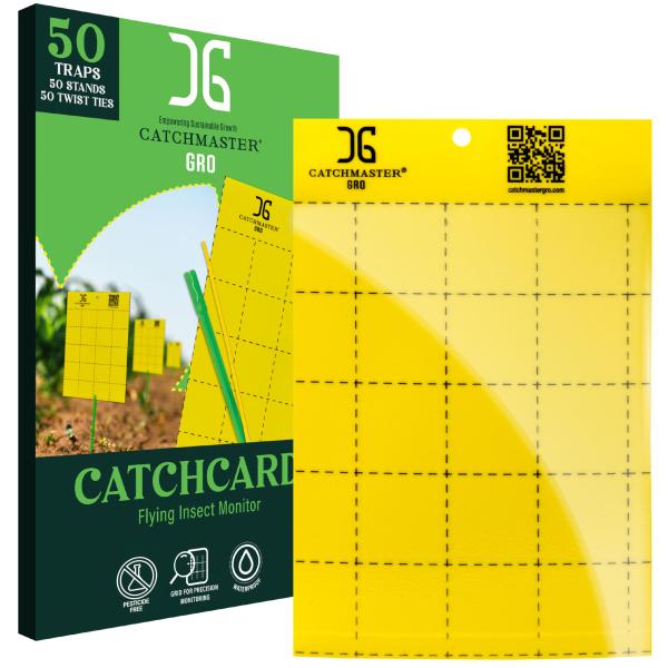 商品名: Catchmaster GRO イエロー粘着トラップ 50個パック 粘着性 屋外 昆虫トラップ 生きている植物を屋内で保護 虫 &amp; ショウジョウバエトラップ 家庭 農場 庭 水耕栽培 温室 害虫駆除 Catchmaster...