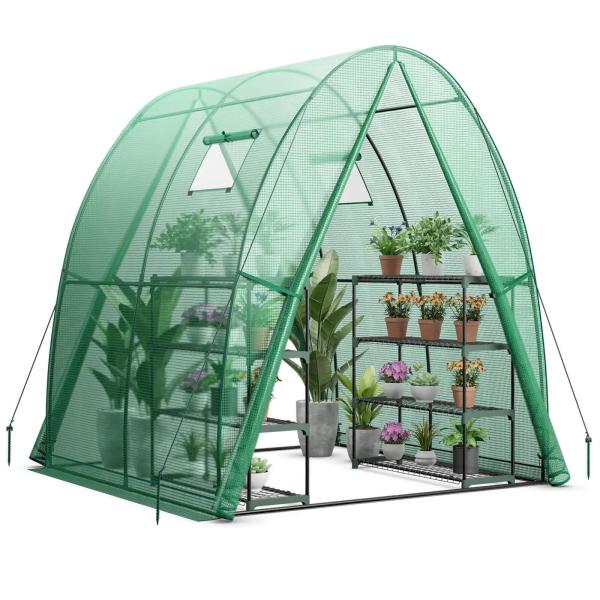 商品名:  CutuLi Portable Greenhouse with 2 Zippered Doors, Roll-up Screen Windows, 6 x 6 x 6.6 FT Garden Shelterブランド: CutuL...