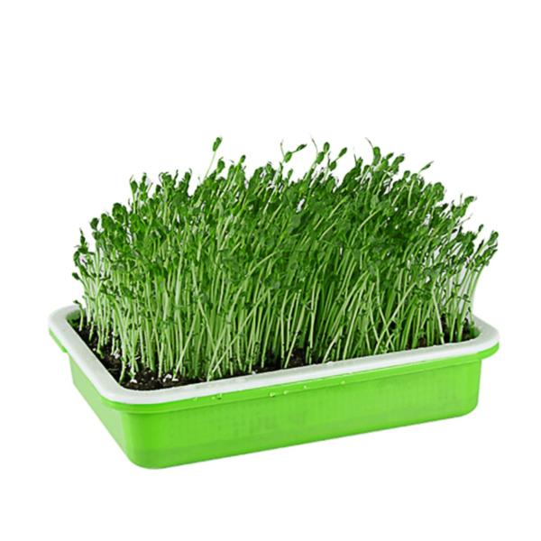 商品名:  SUPVOX Garden Propagator Tray Sprouting Device Sprouting Jar Kit Starting Trays Sprouter Greenhouse Grow Trays Pla...