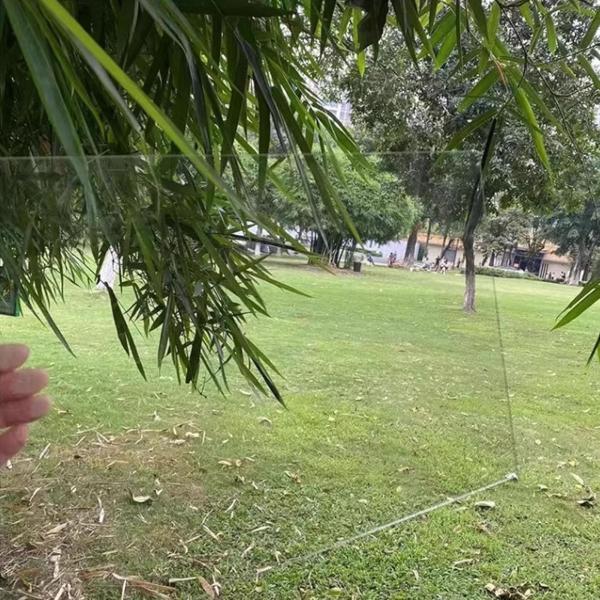 商品名:  Polycarbonate Sheet, High Transmittance Daylighting Panels UV Resistance Rain-Proof Insulation Greenhouse Plastic ...