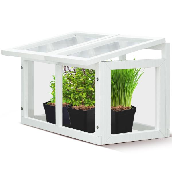 商品名: ミニ温室 12インチx8インチ ? ホワイトアクリル&amp;木製コールドフレーム、小さな屋内屋外植物ハウス 苗、バルコニー、パティオ、カウンタートップ用 ? 冬の雨対策 ? 無料の4インチプランターポット3個付き Mini Ta...