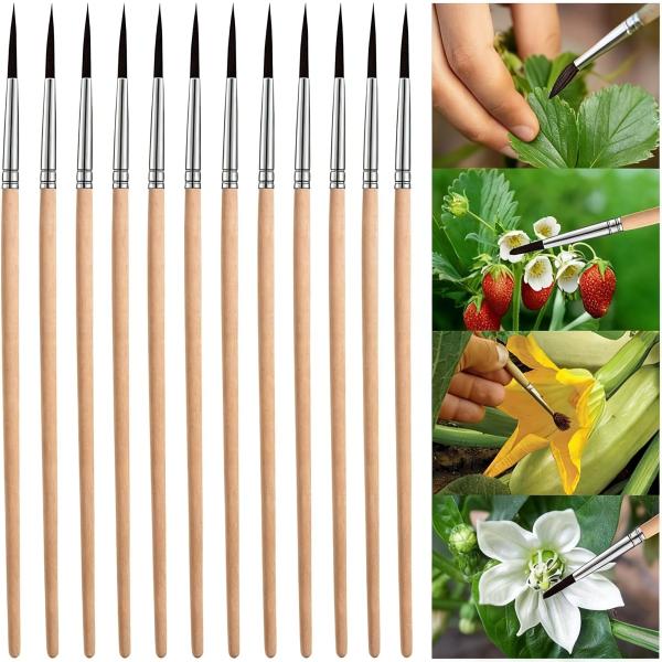商品名: プレミアム受粉ブラシ12個 | 受粉効率を高め、水耕栽培植物、庭、温室に最適 Premium 12PCS Pollination Brushes | Boost Pollination Efficiency, Ideal for ...