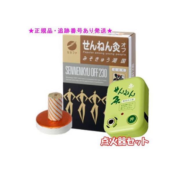追跡番号あり発送 送料込価格