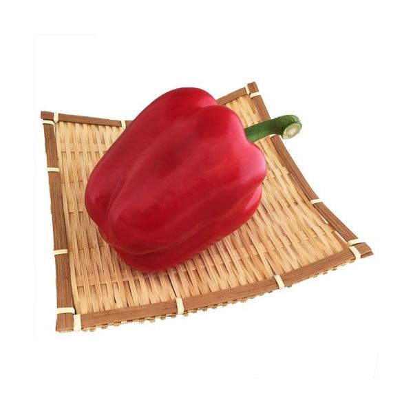 国内でトップクラスを誇る磐田市の日射量を最大限活用できるよう、温室の素材には光透過性の高い強化ガラスを使用し、磐田原台地の深層に流入する、天竜川水系・南アルプス水系からの良質な地下水を、地下230mから汲み上げて使用しています。太陽と水の恵...