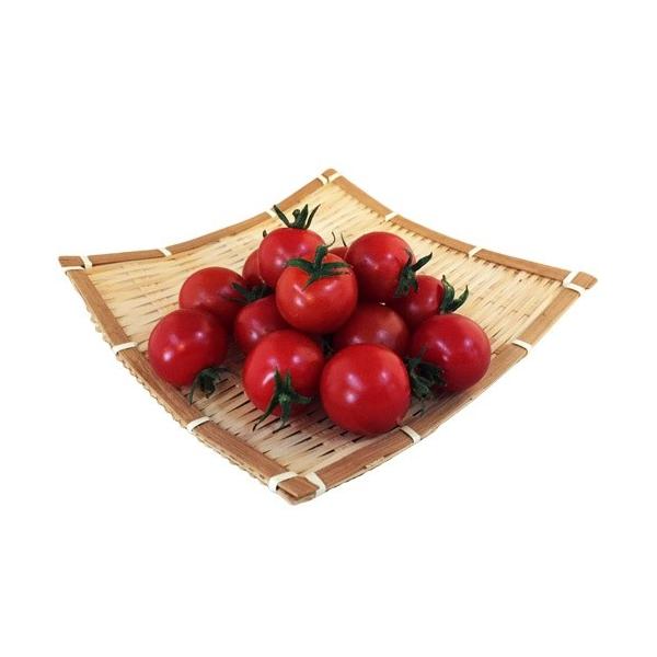 赤色でやや大粒の果実で、安定した高糖度と見た目のつややかさは、見ても食べても満足できる品種です。ビタミンAやC、B群、P、Hなどビタミン類が豊富に含まれているので、美肌保持や成人病予防のほか、食欲増進、疲労回復、夏バテ防止などの効果が期待で...