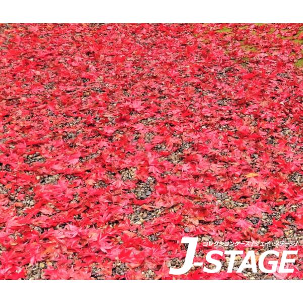 【キーワード】コレクションケース コレクションラック コレクションボード フィギュアケース フィギュアラック アクリルケース コレクションボックス J-STAGE おしゃれ LED 積み重ね スタッキング アニメ 雛壇 爆買