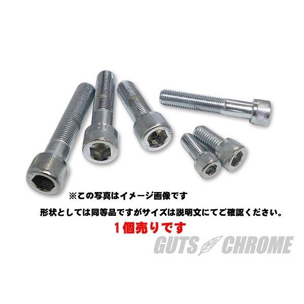 Drag Specialties ドラッグスペシャリティーズ DS-190543 ソケットボルト 5/16-18X5/8状態新品未使用内容ソケットボルト5/16-18×5/8　クローム粗目ピッチのボルトです。※1個売りになりますのでお気をつ...
