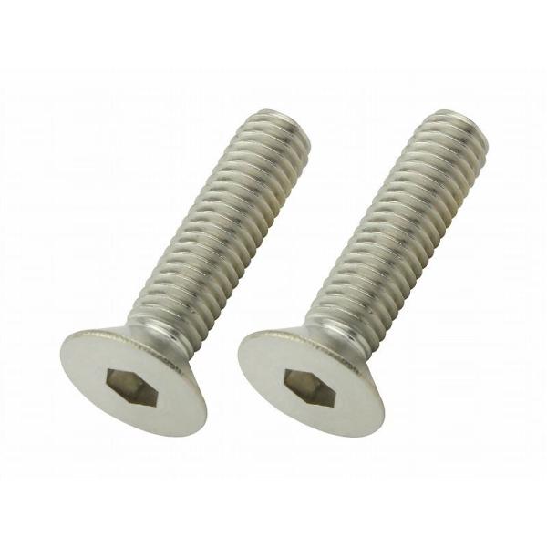 ポッシュフェイス 990625-S2 皿キャップボルト ステンレス M6×25mm 2個入り バイク