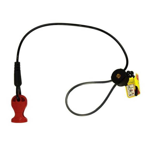 RSタイチ NXP003 T-RAPS 伸縮ワイヤー Sコネクター部画像はイメージ画像となります。一部の商品はメーカー取り寄せとなり廃盤、または欠品中の場合があります。 ご了承ください。サイズ、デザインなどを必ずご確認の上、ご注文下さい。掲...