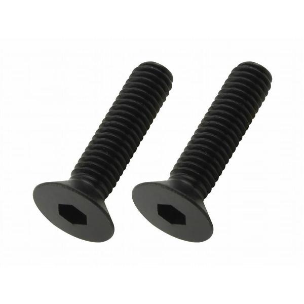 ポッシュフェイス 990625-K2 皿キャップボルト ブラック M6×25mm 2個入り バイク