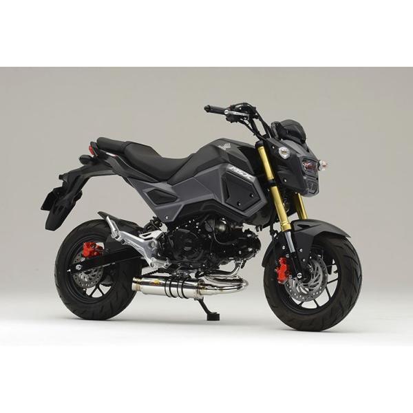 リアライズ 407-103-00 LAGUNA ラグナ ステンレス マフラー グロム EBJ-JC61 バイク