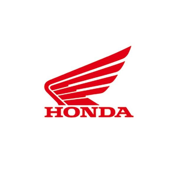 ホンダ純正 86642-MKS-EA0ZA ストライプA L ミドルカウル タイプ1