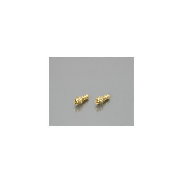 キタコ 0901-100-00006 ビビットボルト(24Kコーティング)10X45XP1.25 1個