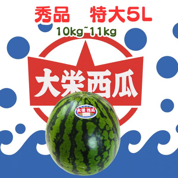 商品名：大栄西瓜（5L 特大サイズ）産地：鳥取県北栄町（農林水産省GI第80号認定）内容量：約10〜11kg（1玉）等級：秀品サイズ：5L（特大）糖度：11度以上栽培方法：雨よけ栽培（パイプハウス／露地トンネル）配送方法：常温便送料：送料無...