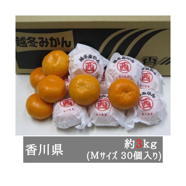 ■約３ｋｇ　Ｍサイズ（30個入り）（常温便）果実の大きさ・糖度の基準をクリアした果実だけを樹上で完熟させた、言わば「選りすぐりのみかん」。樹上完熟ならではの、高糖度でとろけるような食感をお楽しみ下さい。一つ一つ紙袋で個包装された、最高品質の...