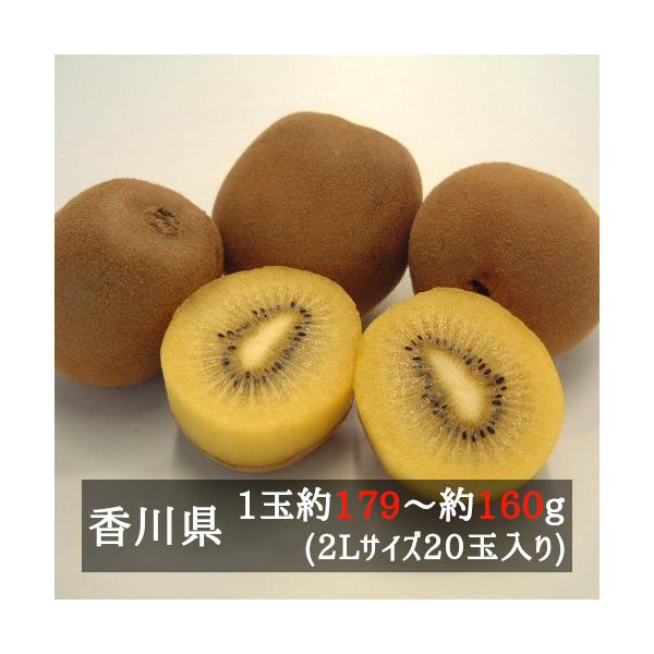 ■２Ｌサイズ　２０玉入り（１果重160-179ｇ）（常温便）まるでメロンのような食感を楽しめる、緻密でなめらかな果肉。大きな果実にたっぷりと含まれる甘い果汁が、口いっぱいに広がり、糖度14.5度以上という、キウイの常識をくつがえすほどの甘さ...