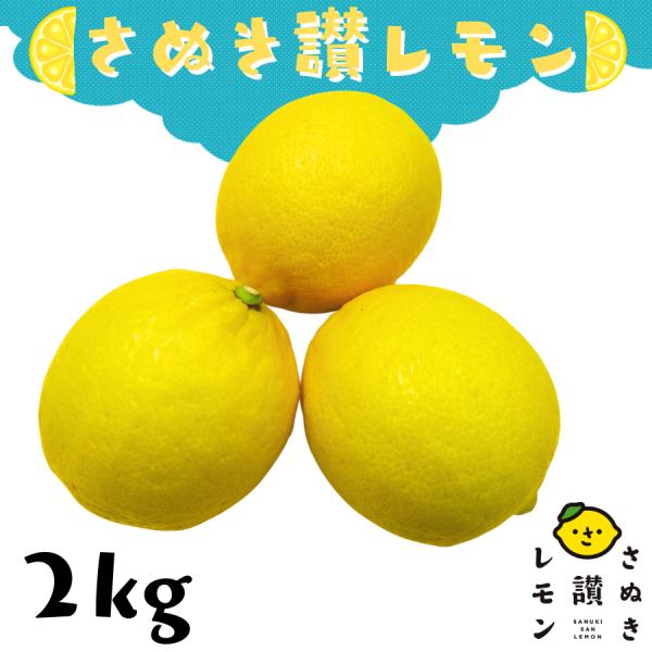 香川県産 さぬき讃レモン 2kg（M〜3Lサイズ 10〜20個入り）テレビで紹介されたブランドレモン！香川県の温暖な気候で育った安心・安全な国産レモンです。・果皮が滑らかで種が少なく、まろやかな酸味・レモン水、レモンサワー、料理やスイーツに...