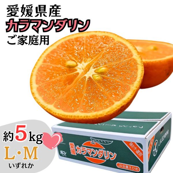 愛媛県産カラマンダリン約5kg（家庭用）をお届けします。オレンジのようなコクと甘み、温州みかんのような食べやすさが特徴の春柑橘。見た目にキズや色ムラがありますが、味はしっかり。サイズは混合、常温便での発送です。ご家庭用にお得な価格で販売中。...