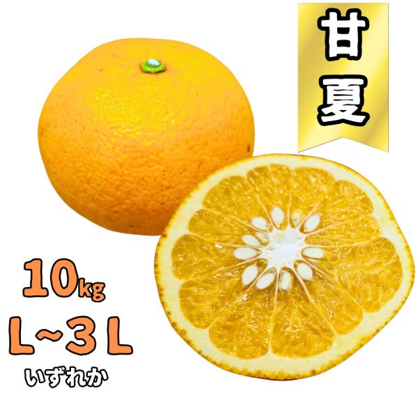 【発売日：2025年05月01日】■秀品　約10ｋｇ入（常温便）バランスのとれた甘味と苦味はジャムやお菓子にもお薦めです。もちろんそのまま食べても後味がよく、食べ応えも十分です。タネがありますので、お気をつけてご賞味下さい。