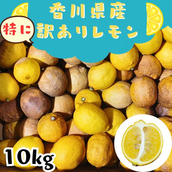 香川県産の特に訳ありレモン10kgです。(補償用に2kg増量)日焼けにより皮が黒ずんでいるもの、市場内での売れ残りでやや日が経っているもの、傷・擦れ・色むら・変形などがある商品です。見た目に難があるため、スーパーなどの店頭販売には向かない品...