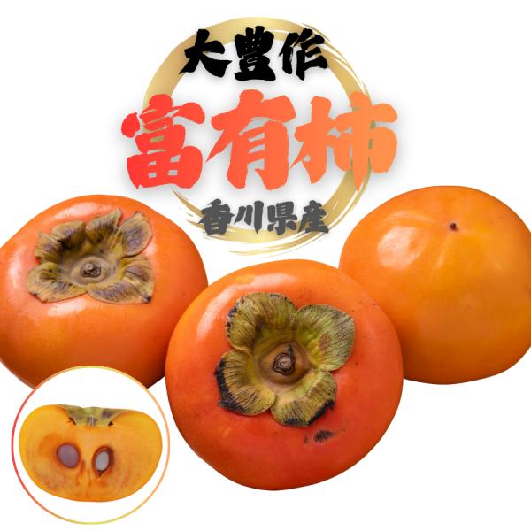 訳あり 香川県産 富有柿豊作により大量入荷した富有柿を規格外の超特価でご提供します。傷や色ムラ、サイズ不揃いなど見た目の理由で規格外になりましたが、味・品質・栄養価は正規品と同じです。【富有柿の特徴】富有柿は甘柿の代表品種で、糖度17から1...