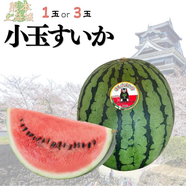 熊本県産の小玉すいか「ひとりじめ」です。3Lサイズで、1玉あたり約2kg〜2.5kg。食べきりやすいサイズ感と、シャリッとした食感が魅力です。内容量は1玉または3玉から選択可能。家庭用の段ボール箱で常温発送いたします。送料無料ですが、北海道...