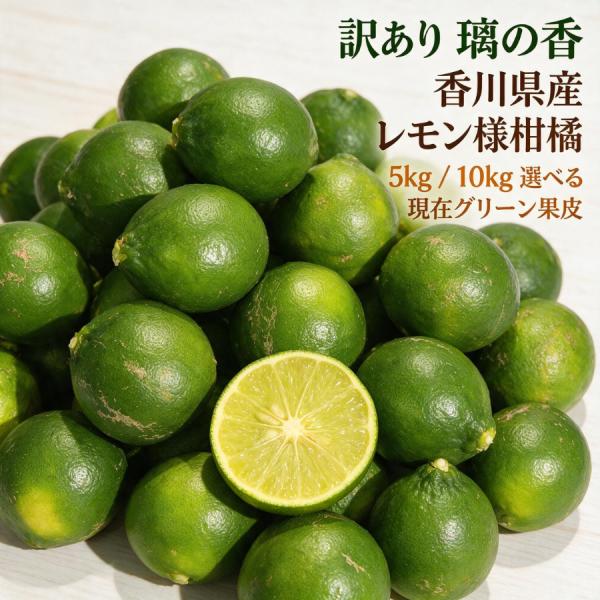 香川県産の訳ありレモン様柑橘「璃の香」10kgです。璃の香はリスボンレモンと日向夏を交配して育成された国産カンキツ品種です。果皮のキズ、スレ、色ムラ、形のばらつき、サイズ不揃いなどがある訳あり品ですが、果汁が多く酸味はまろやかです。料理、お...